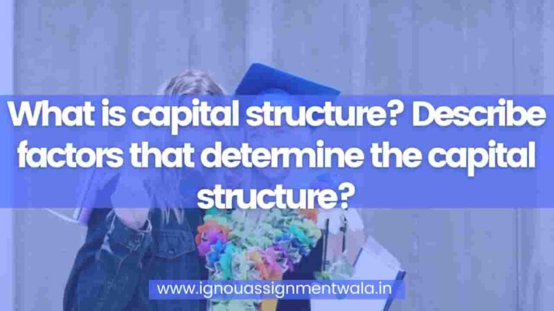 What is capital structure? Describe factors that determine the capital ...