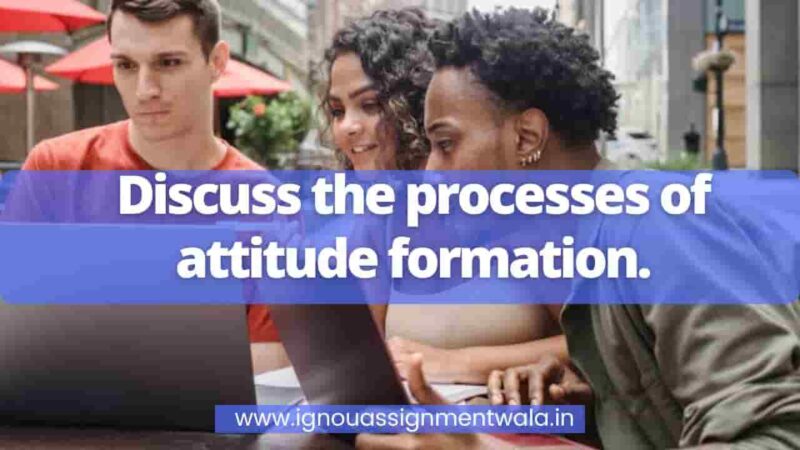 Discuss the processes of attitude formation. - IGNOU Assignment Wala