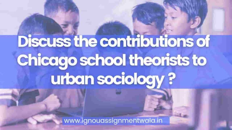 Discuss the contributions of Chicago school theorists to urban ...